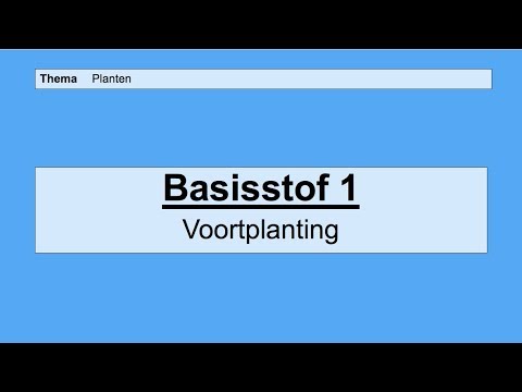 Vmbo 4 Voortplanting En Ontwikkeling Basisstof 1 Voortplanting