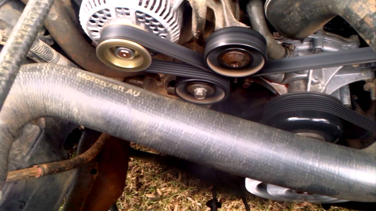 Drive Belt Noise When Cold At Milla Gadsdon Blog
