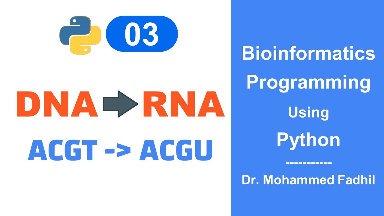 Dna To Rna Using Python Youtube
