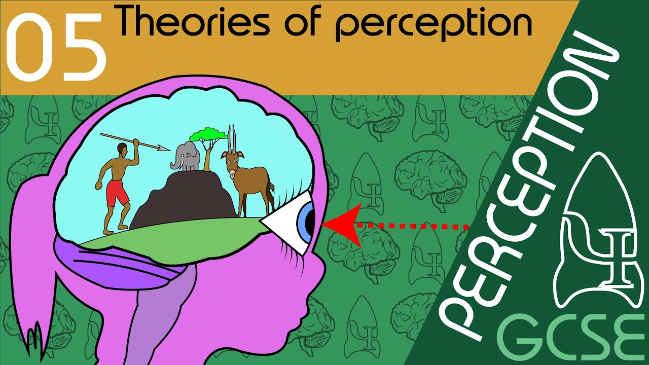 Perception