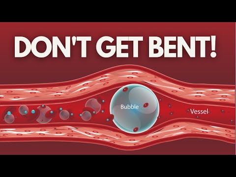 Understanding The Bends A Guide To Scuba Diving Safety
