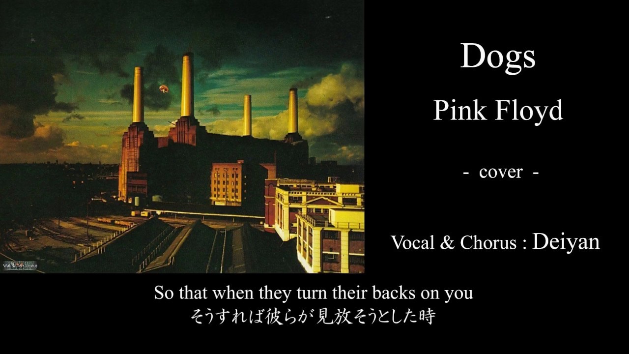 Dogs Pink Floyd Vocal Chorus Cover Youtube