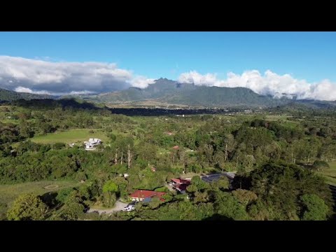 Janson Coffee Farm 2025 Youtube