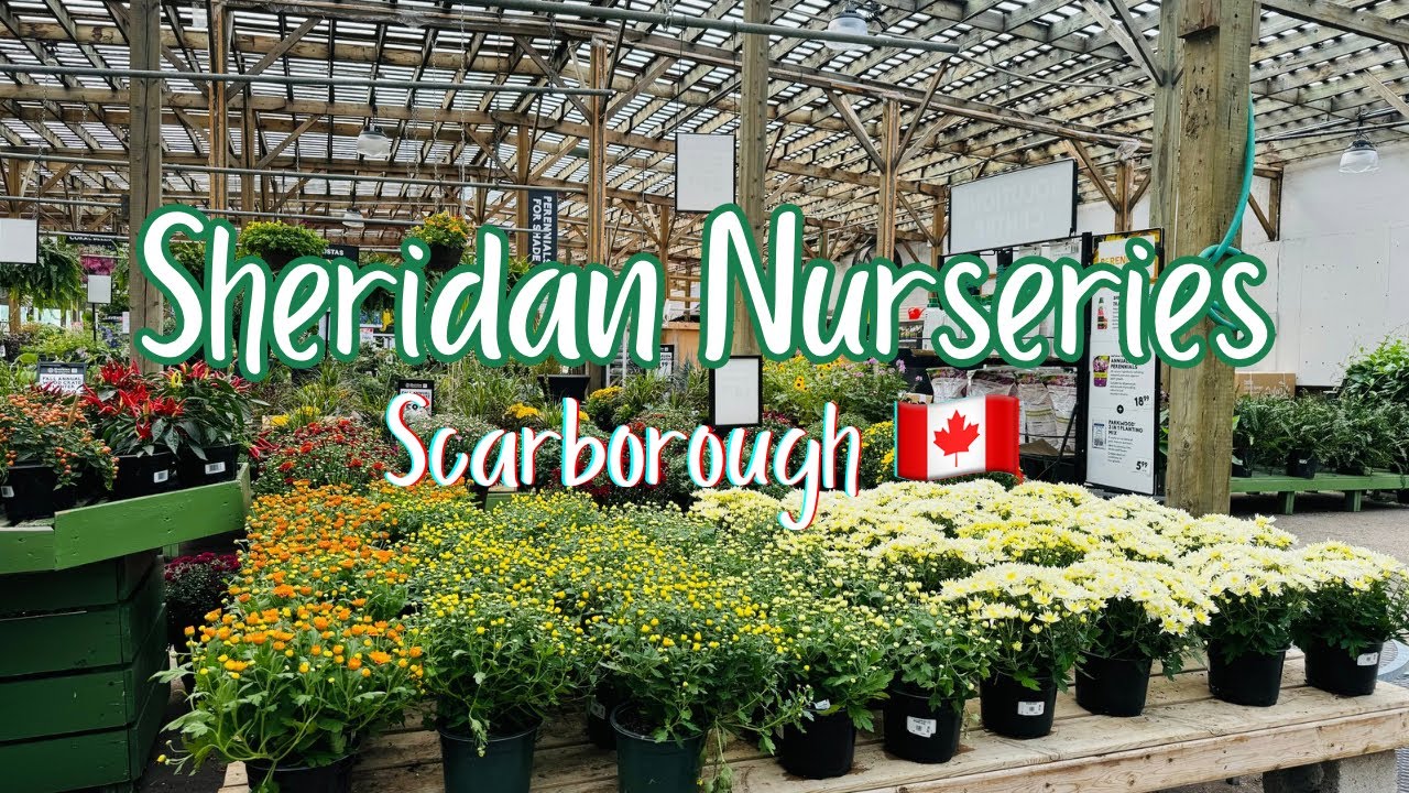 Sheridan Nurseries Toronto Scarborough рџ ёрџ Garden Centers In Canada