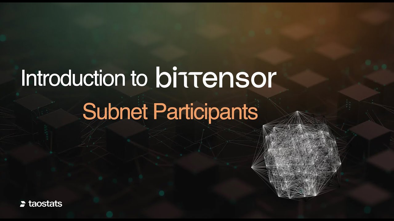 Bittensor Overview Subnet Participants Youtube