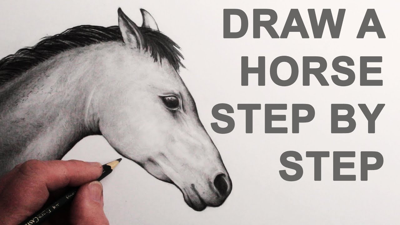 How To Draw A Horse Head Narrated Youtube