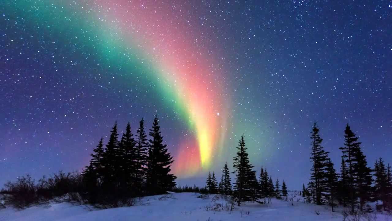 Aurora Borealis Between The Trees Time Lapse Hd Youtube