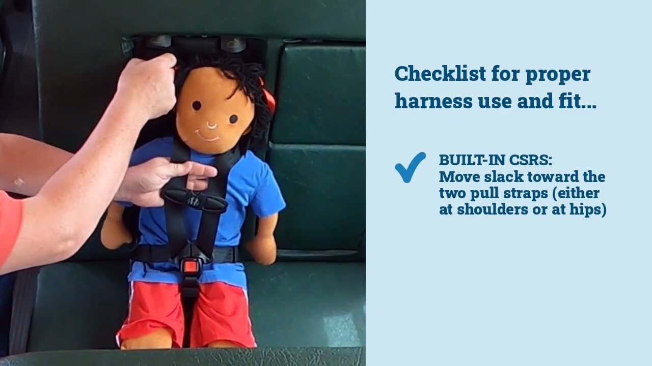 Proper Harness Use Recap Youtube