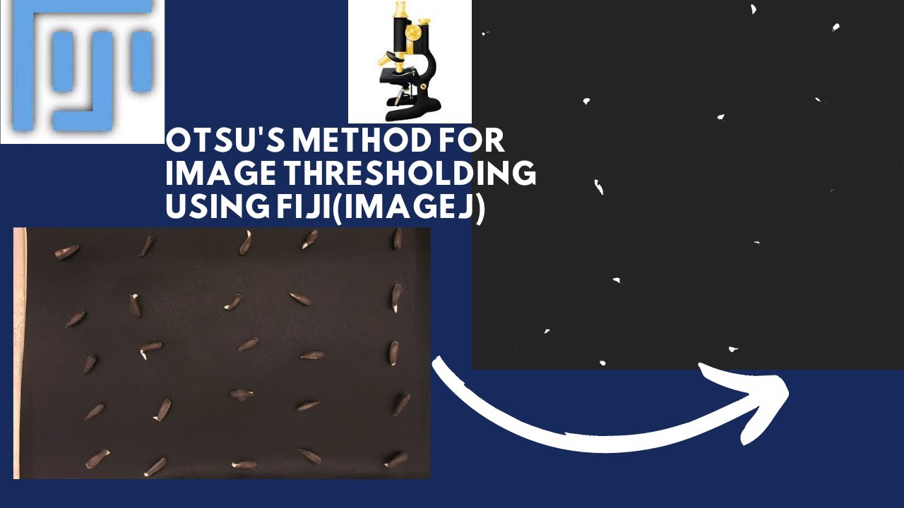 How Do You Do Thresholds In Imagej Otsu Thresholding Image