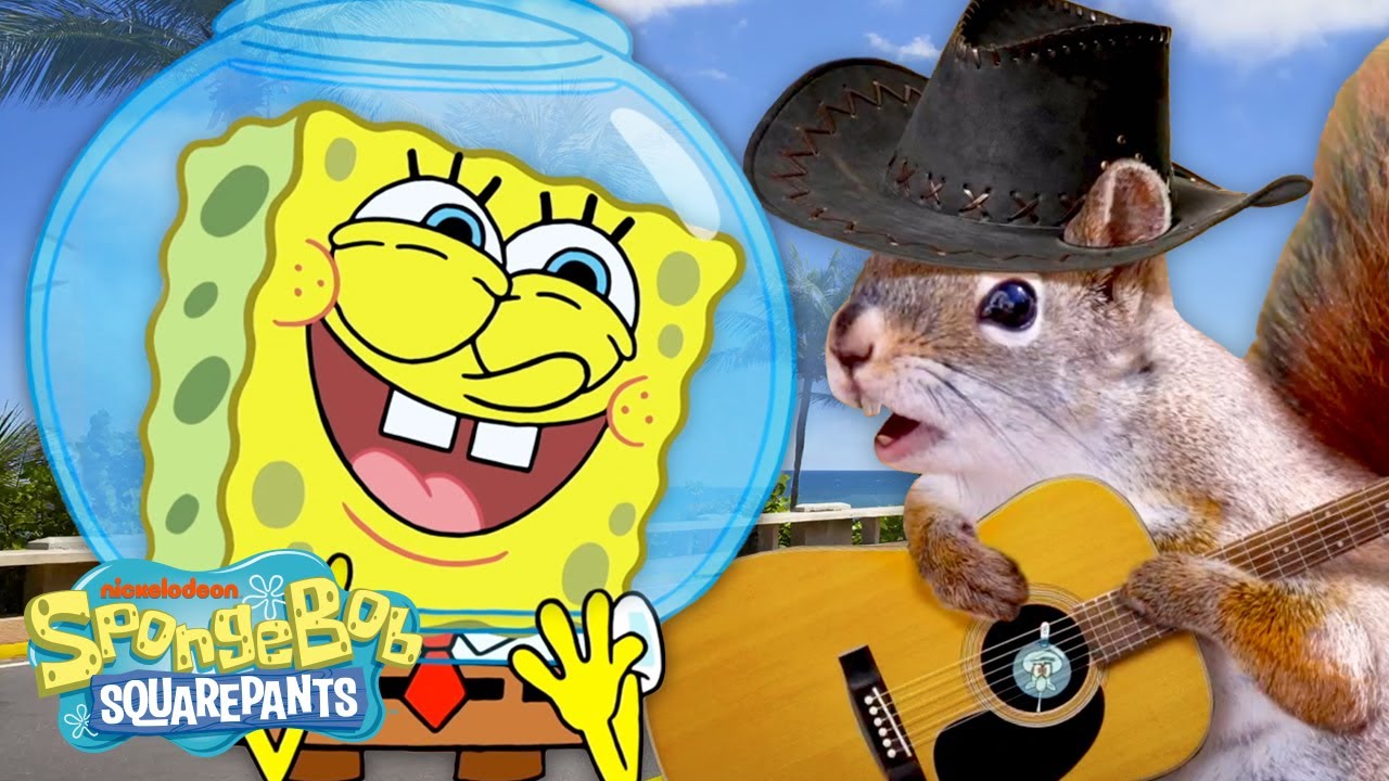 Spongebob On Dry Land For 10 Minutes Straight Spongebob Youtube