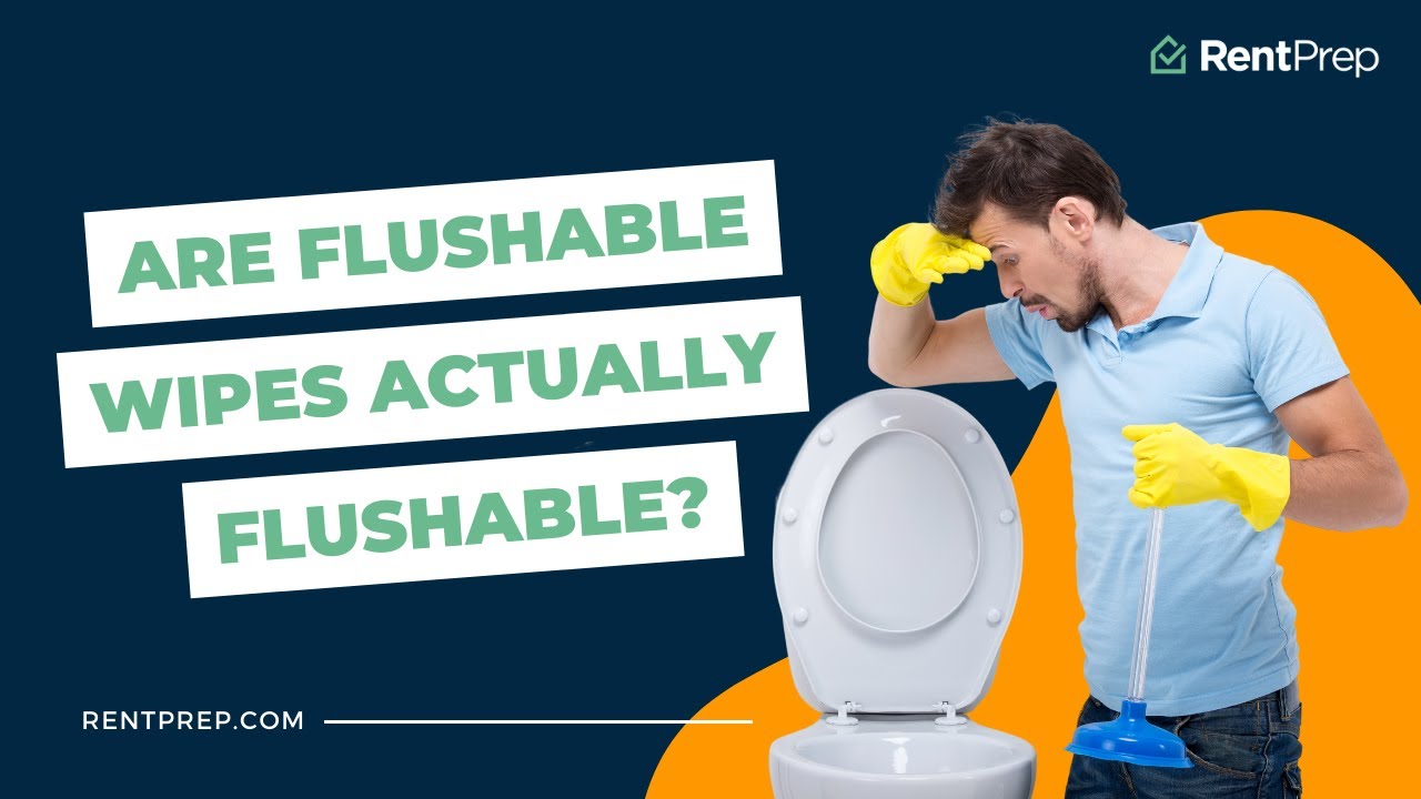 Flushable Wipes Actually Flushable At Micheal Wilder Blog