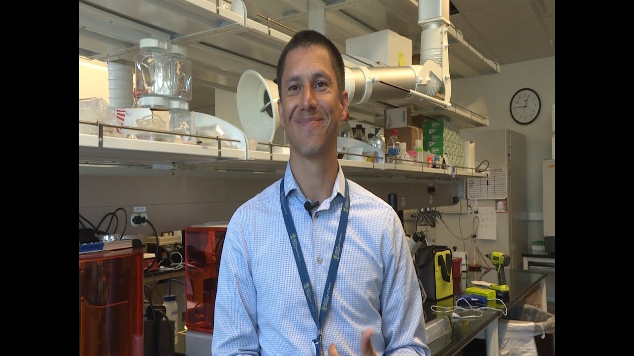 Ohsu S Bone In A Dish Discovery Youtube