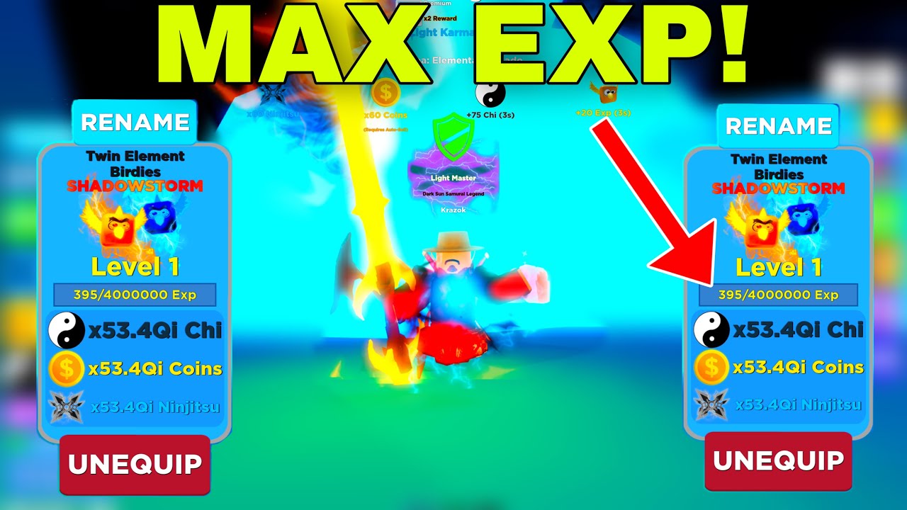 How To Get Max Pet Exp In Ninja Legends Roblox Youtube