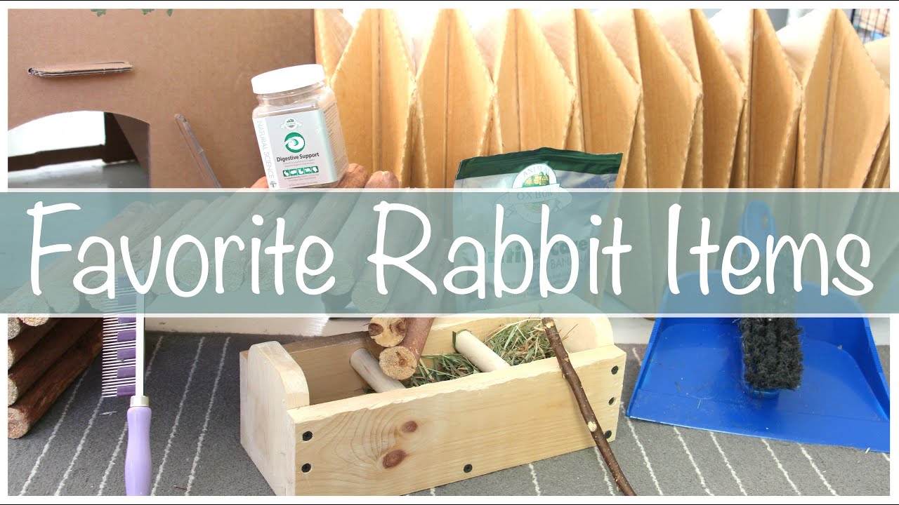 My Favorite Rabbit Products Toys Supplies Youtube