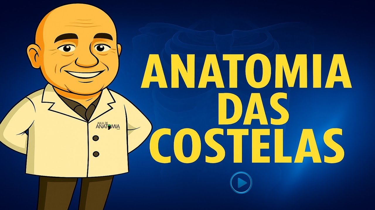 Anatomía De Las Costillas