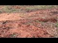 20 Gunta Farm Land For Sale In Doddballapura Green Realtors Mp3 Music ...