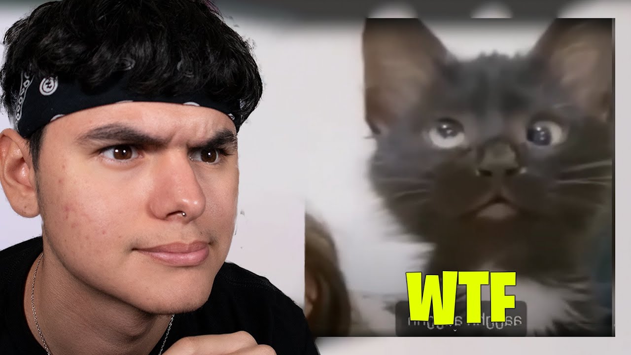 Try Not To Laugh Part 1 Youtube