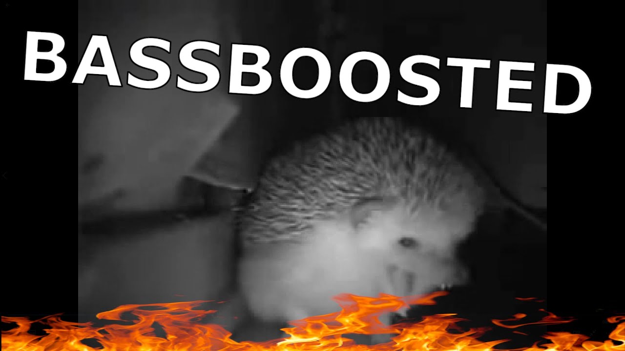 ежик чихает и взрывается атомная бомба Bassboosted Hedgehog Sneezes