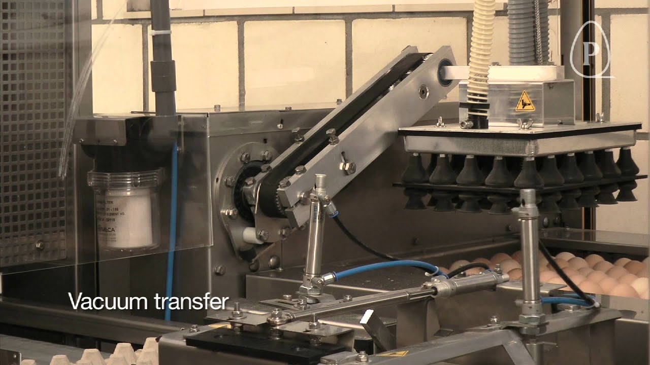 Prinzen Smartpack Commercial Egg Packer Youtube