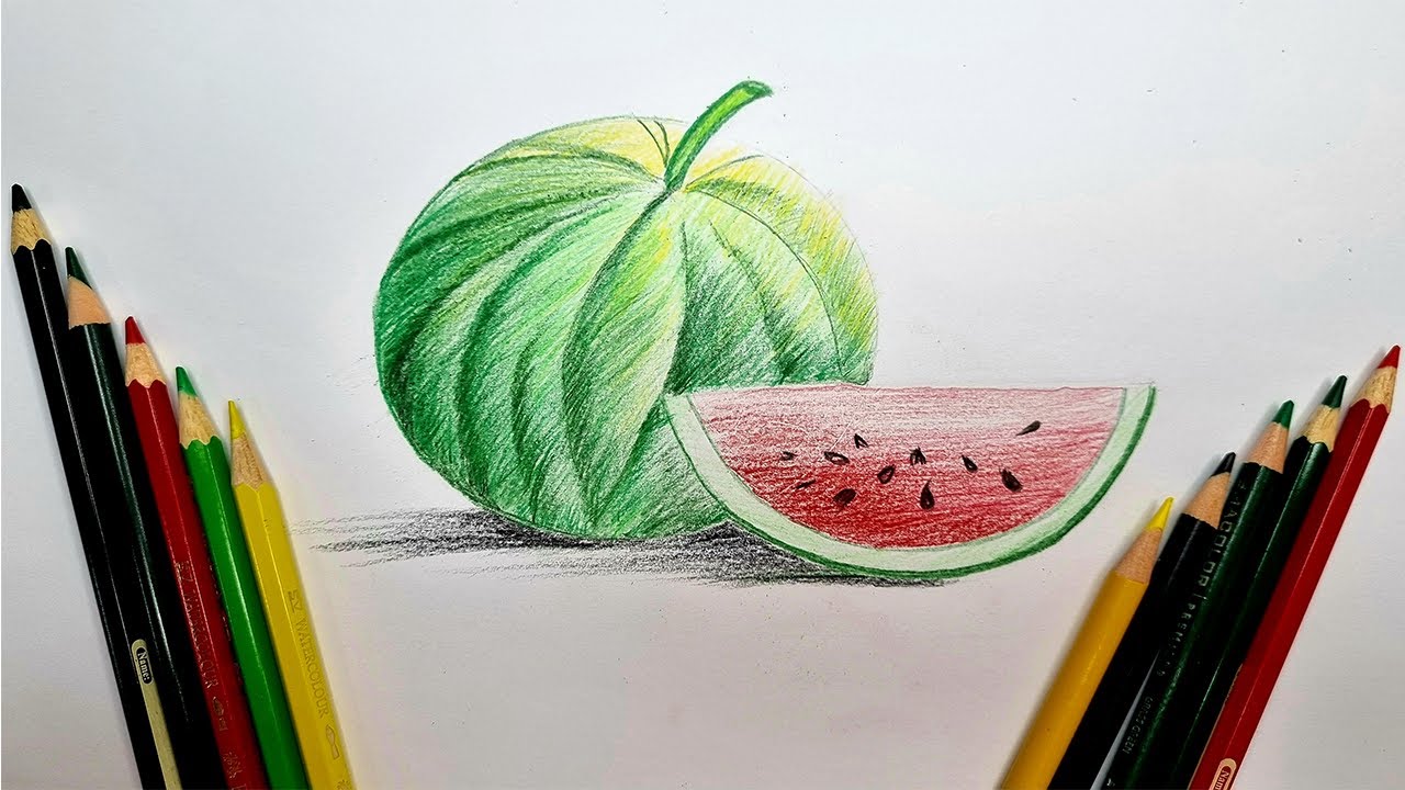 Watermelon Drawing With Color