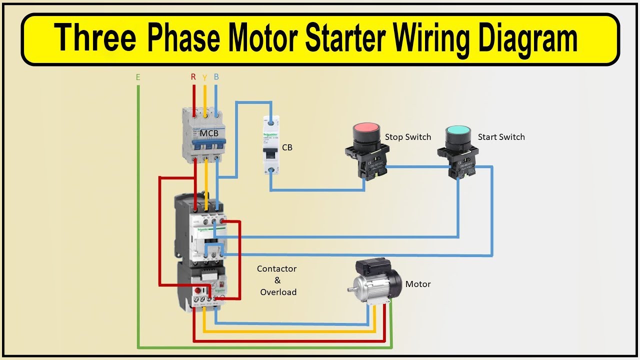 3 Phase Electric Motor Starter Wiring Diagram 3 Phase Infoupdate Org
