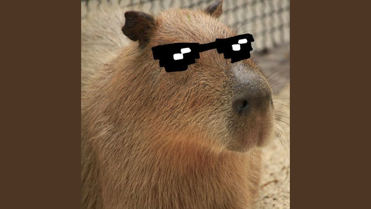 Capybara Song Tik Tok Version Youtube Music