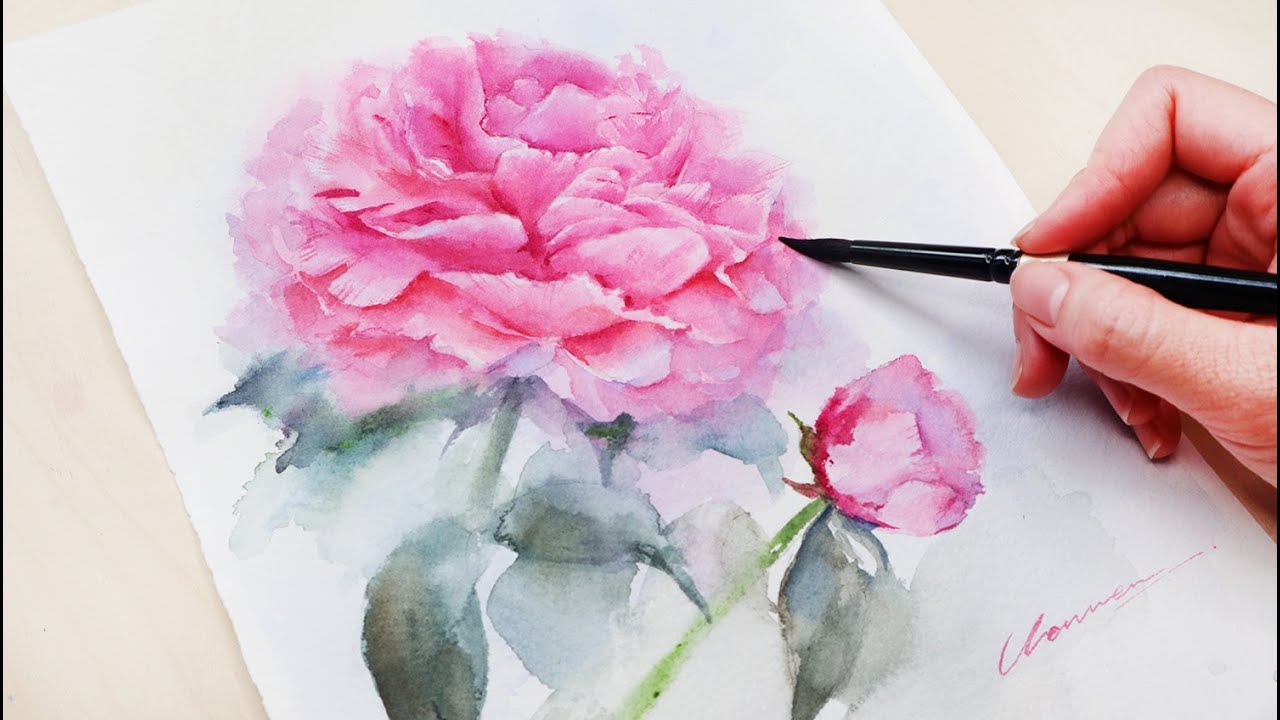 How To Paint A Peony In Watercolor Tutorial Youtube