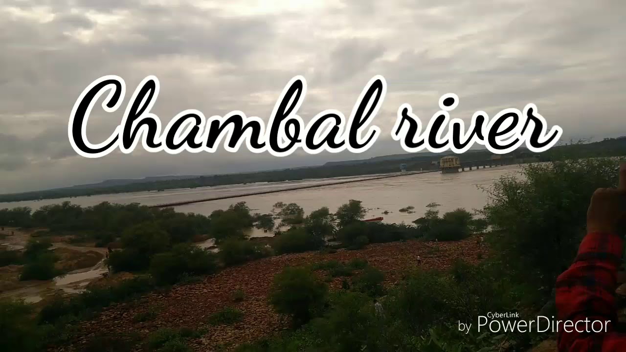 Chambal River Youtube