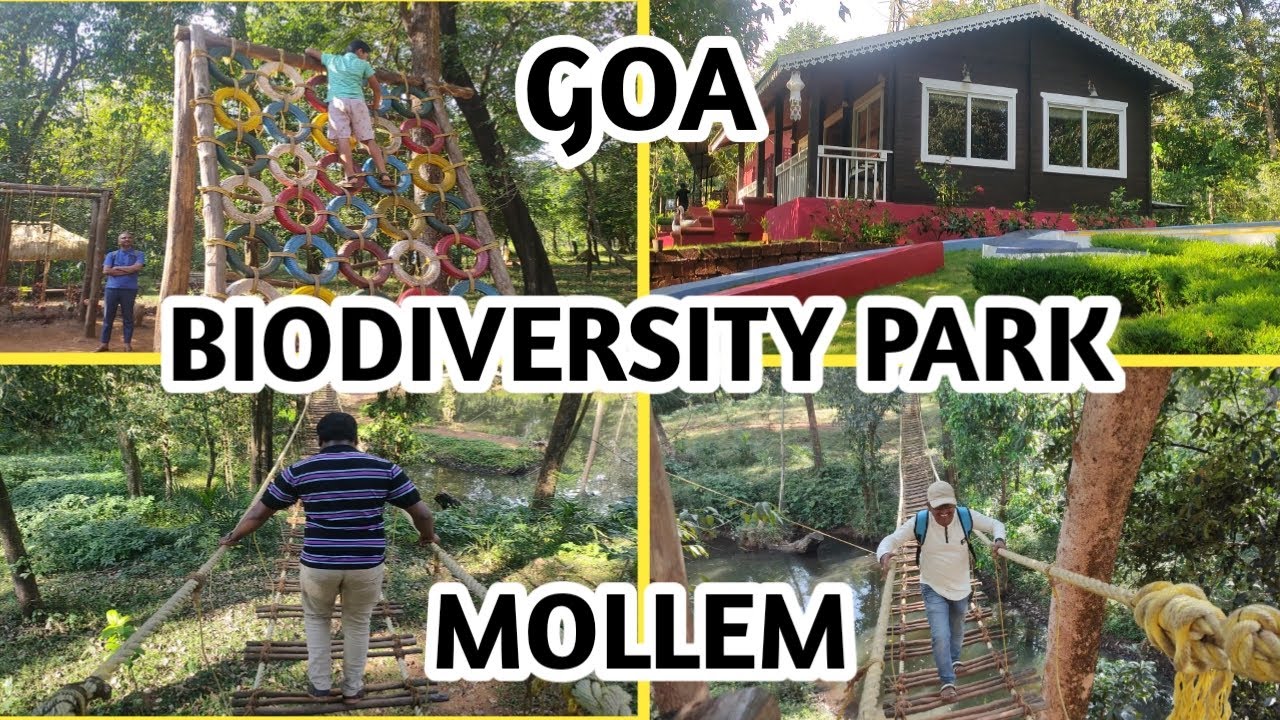 Biodiversity Park Mollem Goa Goa Tourist Place Goa City Youtube