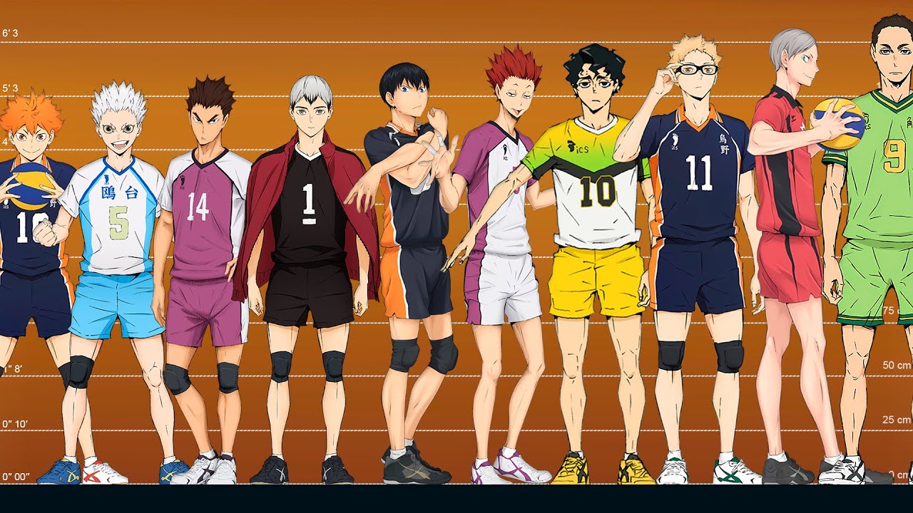 Haikyuu Players Height Comparison Youtube