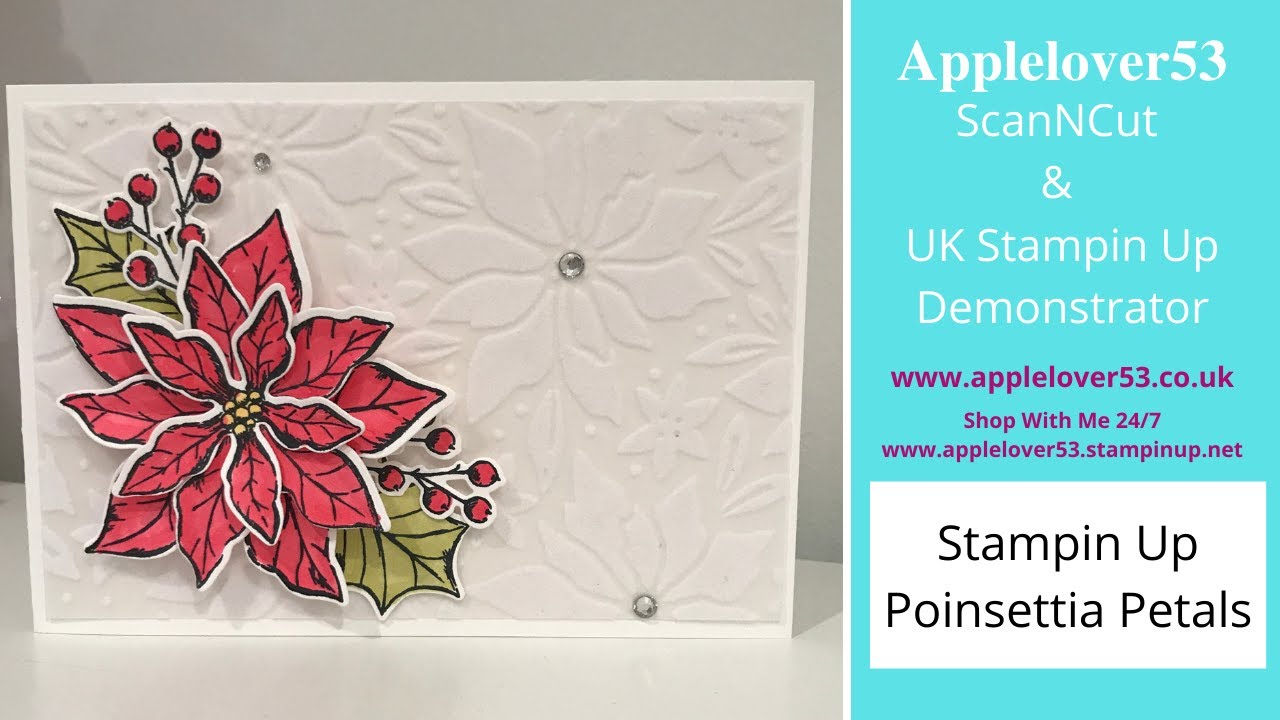 Stampin Up Poinsettia Petals Speciality Vellum Card Youtube