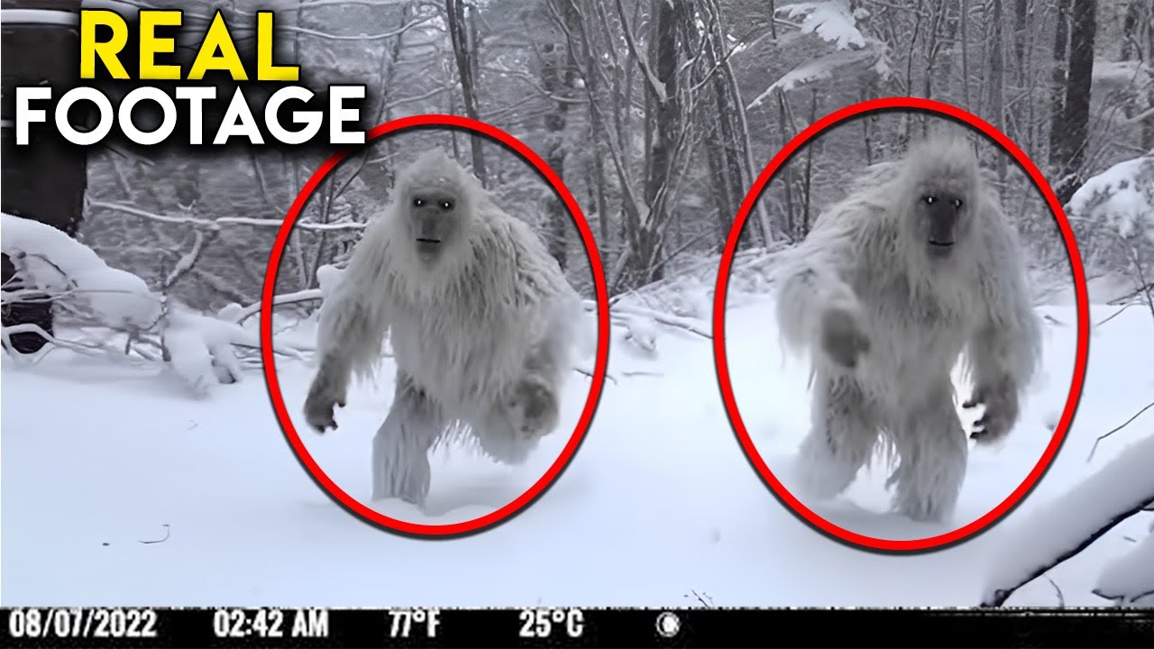 Terrifying Trail Camera You Need To See Youtube