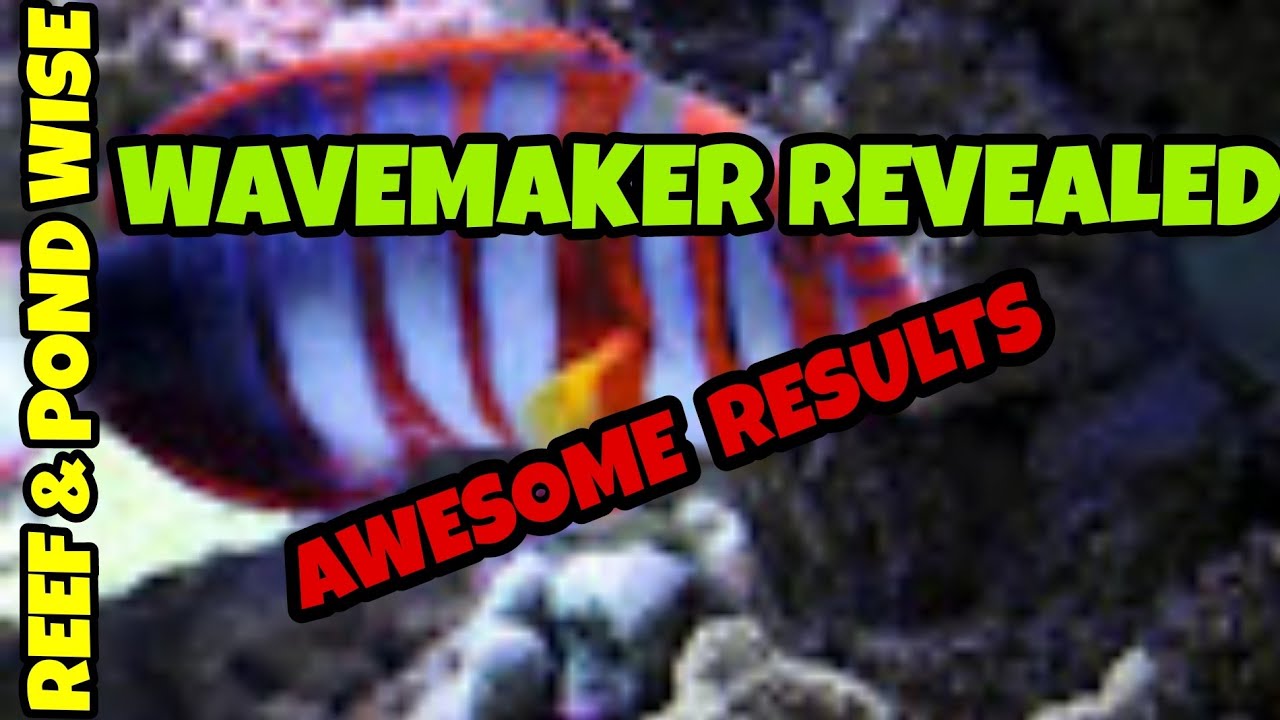 Wavemaker Review Youtube