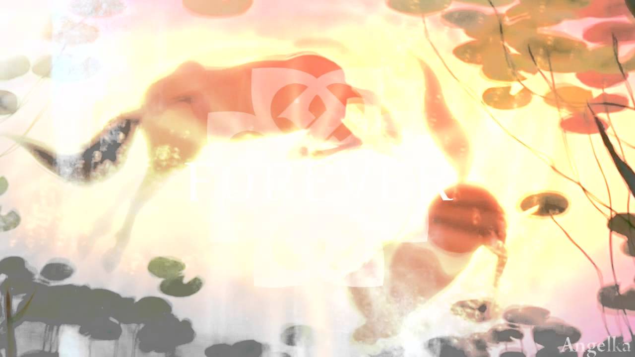 Angels Fall Youtube Music