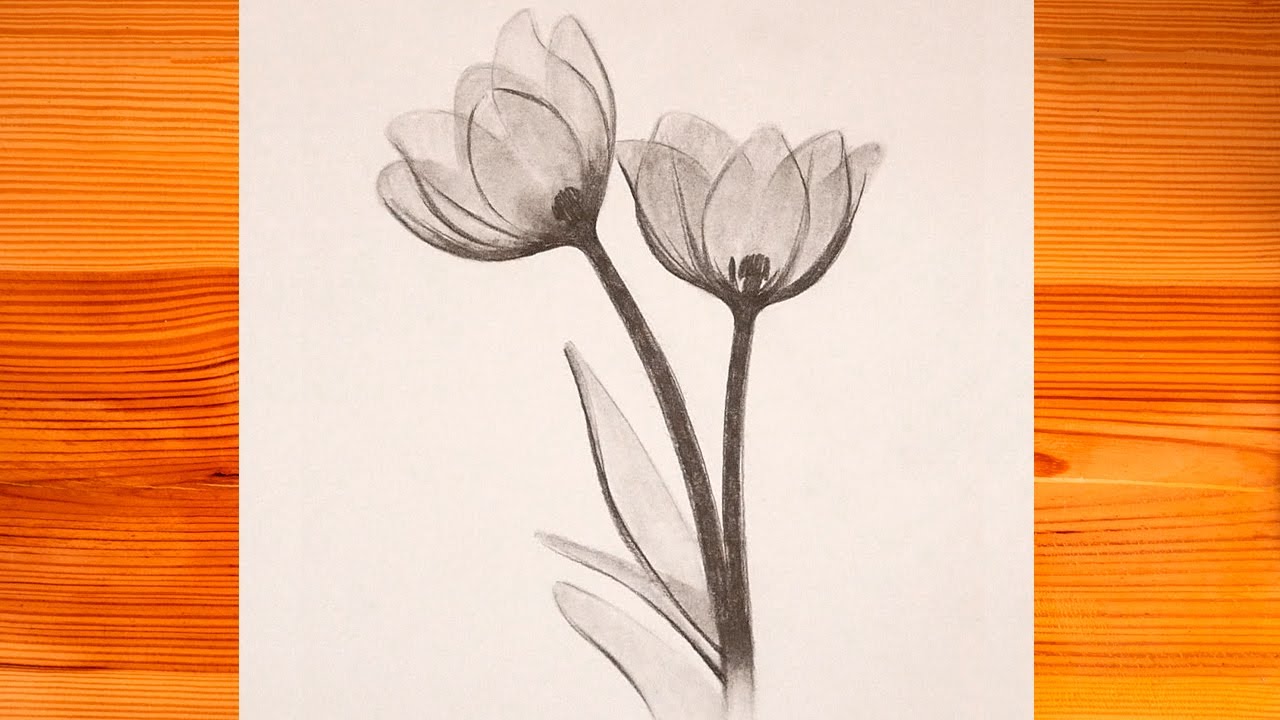 Flor Dibujo