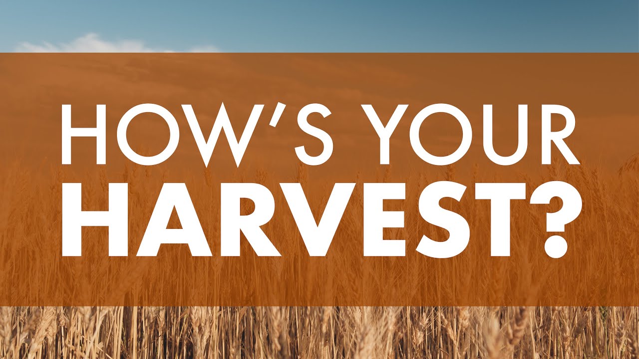 How S Your Harvest Sermon Only Youtube
