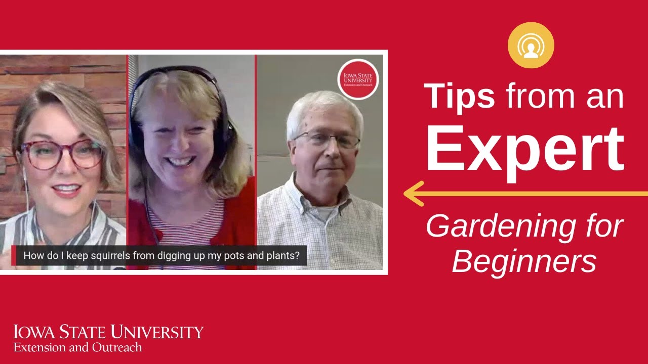 Tips From An Expert Gardening For Beginners Youtube