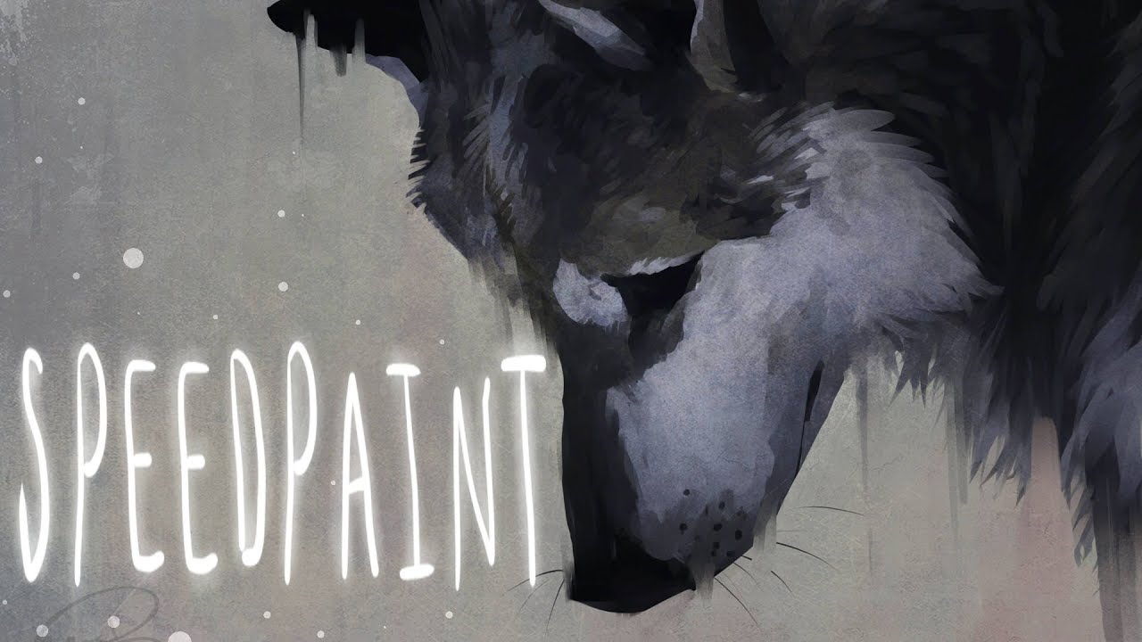 Fading Wolf Ii Speedpaint Youtube