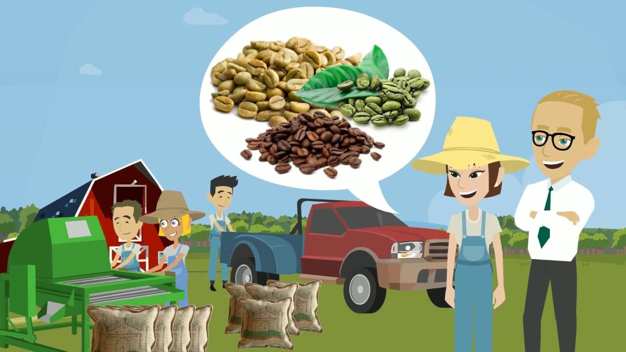 Pur Java Manufacturing Facility Youtube