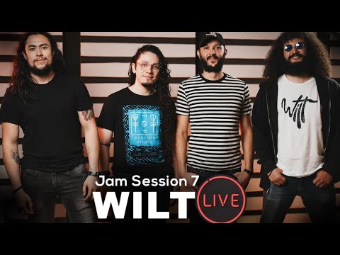 Wilt Live Session 07 Youtube