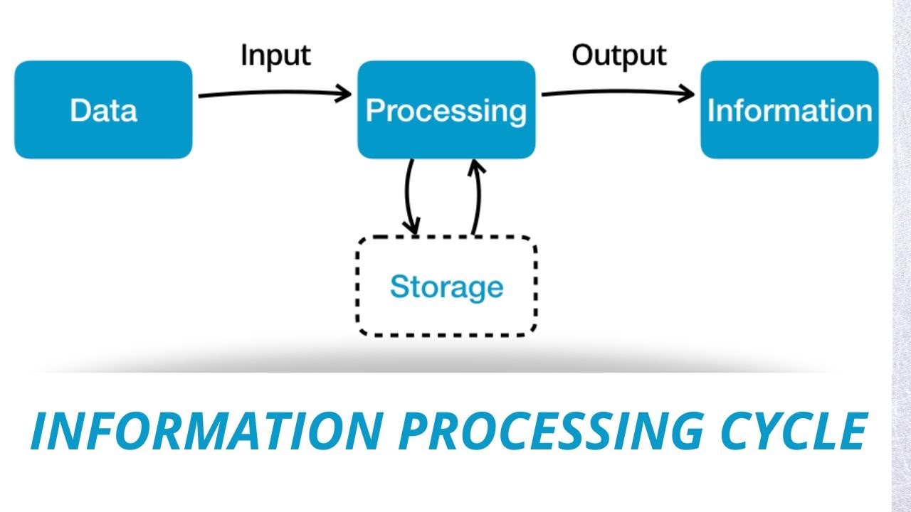 Information Processing Cycle