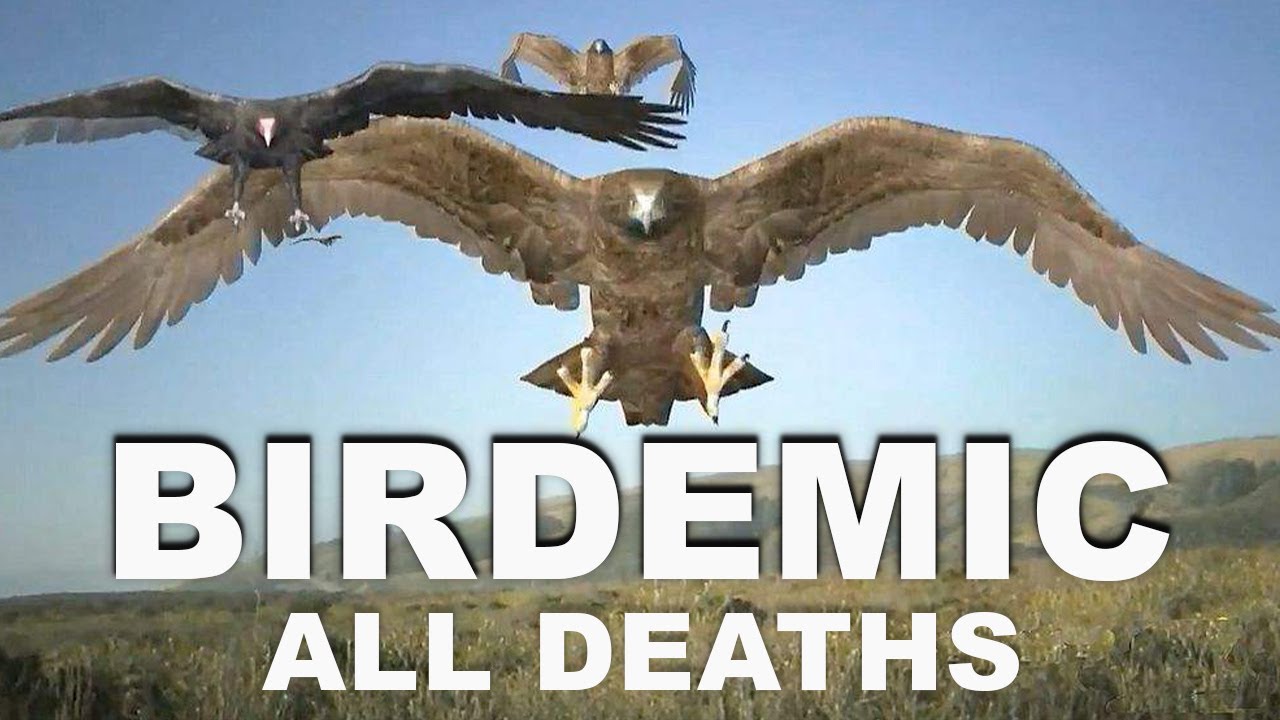 Birdemic Series All Deaths Youtube