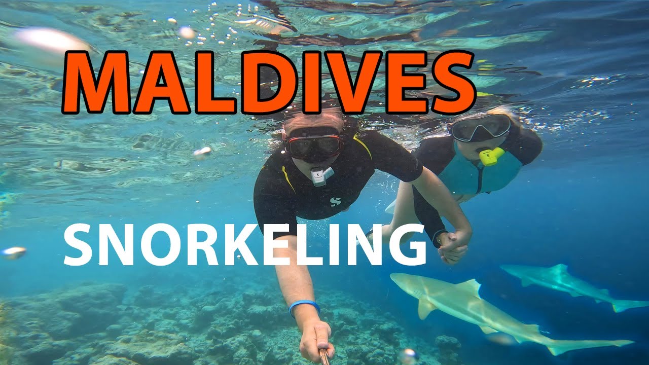 Safari Island Resort Maldives Snorkeling With Sharks Youtube