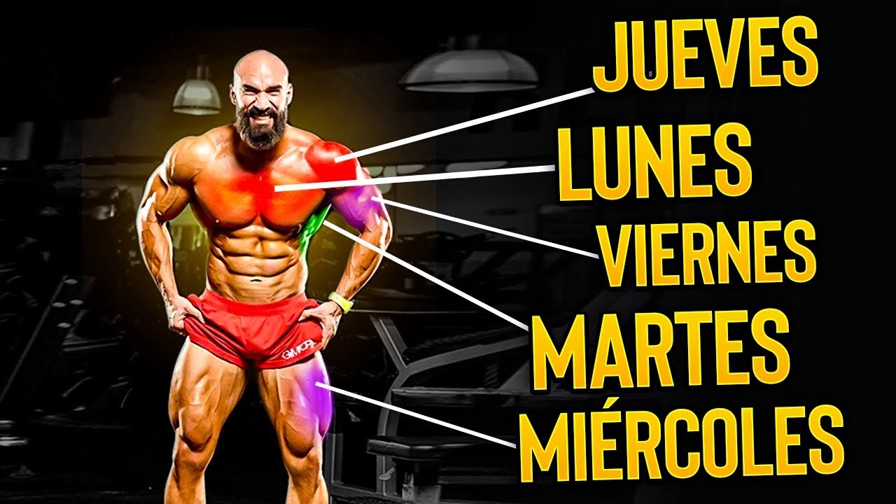 Rutina De Ejercicios Rutina Hombros Mancuernas New Sales Arrivals