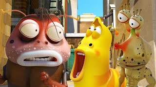 Larva Brown S Bath Cartoon Movie Cartoons For Children Larva