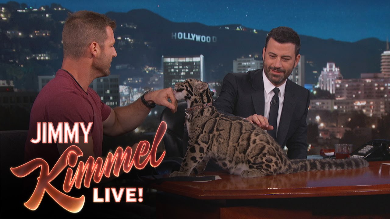 Wild Animals With Dave Salmoni