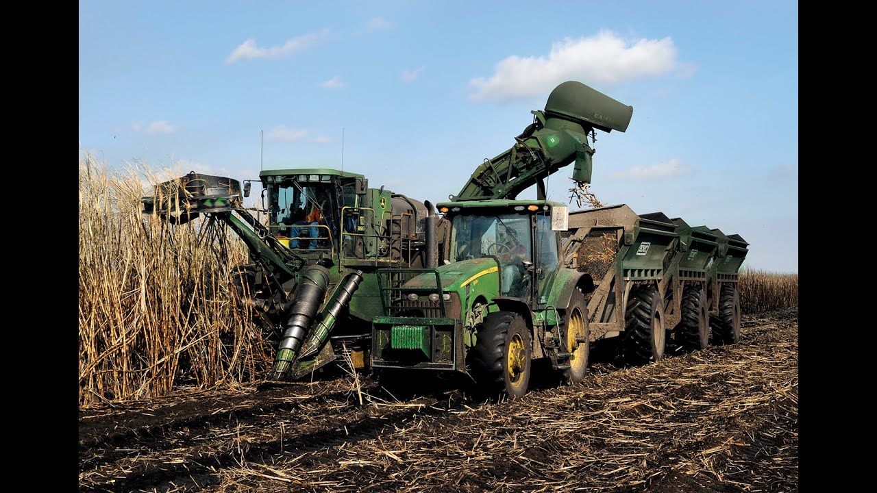 U S Sugar Everglades Equipment Group Announce Strategic Partnership