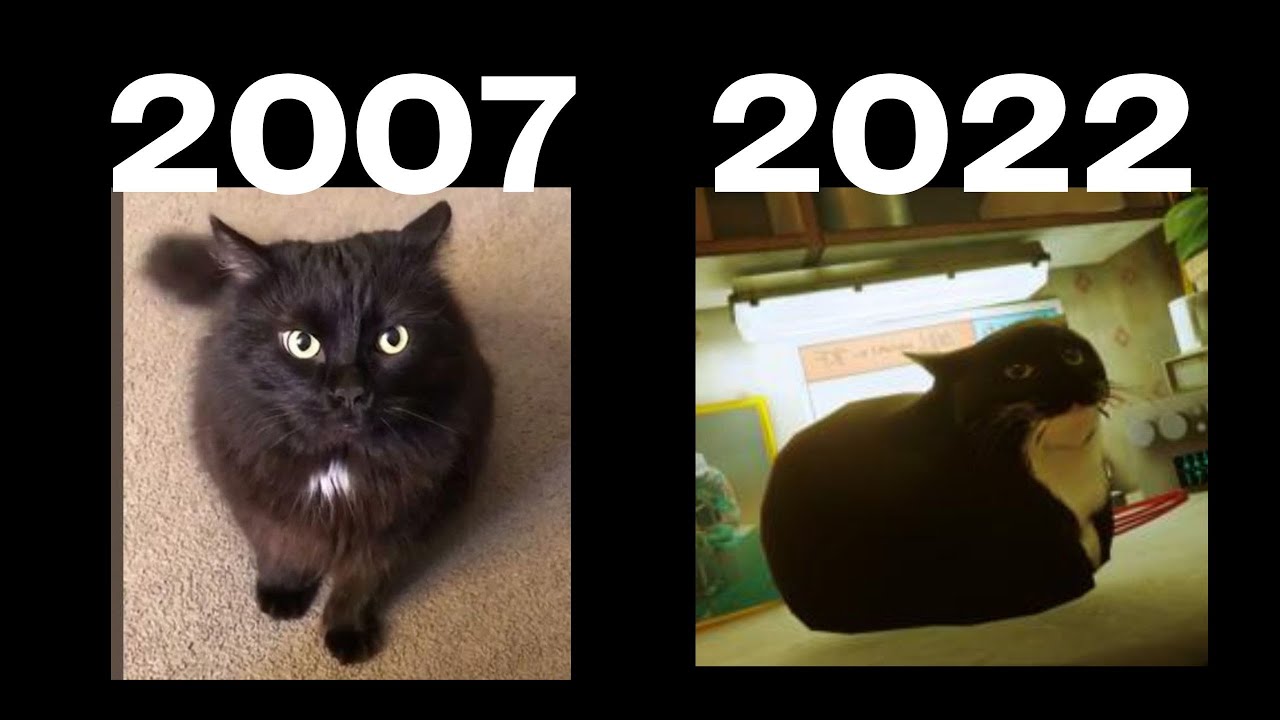 Evolution Of Maxwell The Cat 2007 2123 Youtube