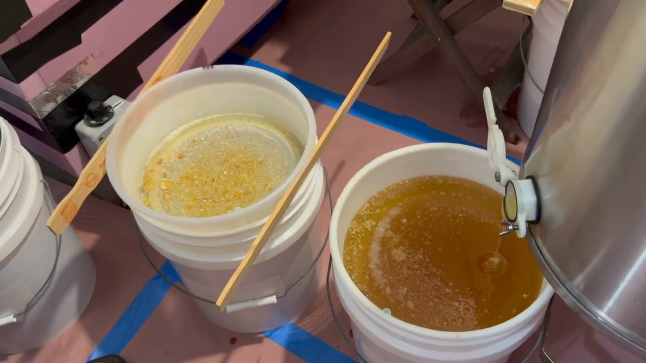 Extracting Honey Watch The Process
