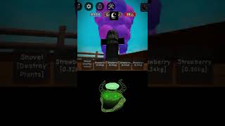 Grow A Garden Script Buy Candy Blossom Growagardenscript Roblox